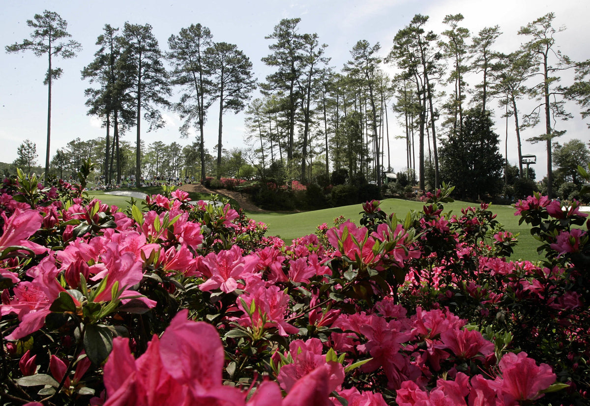 Golfing in Augusta, GA: Azaleas, Southern Charm, and Clubs Delivered t ...